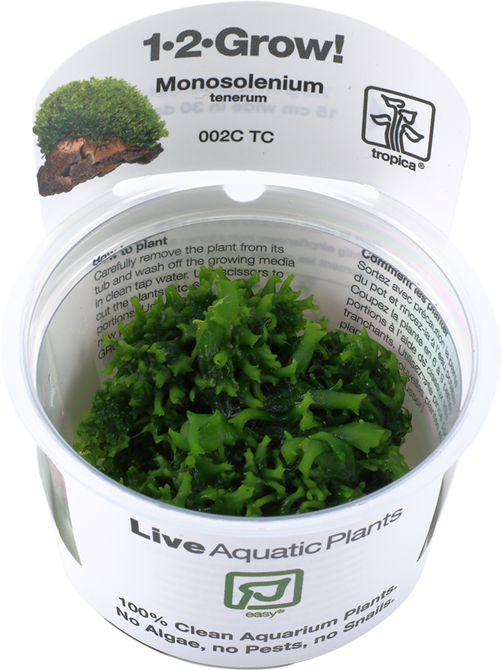 How to Clean Snails off Aquarium Plants: Quick & Easy!