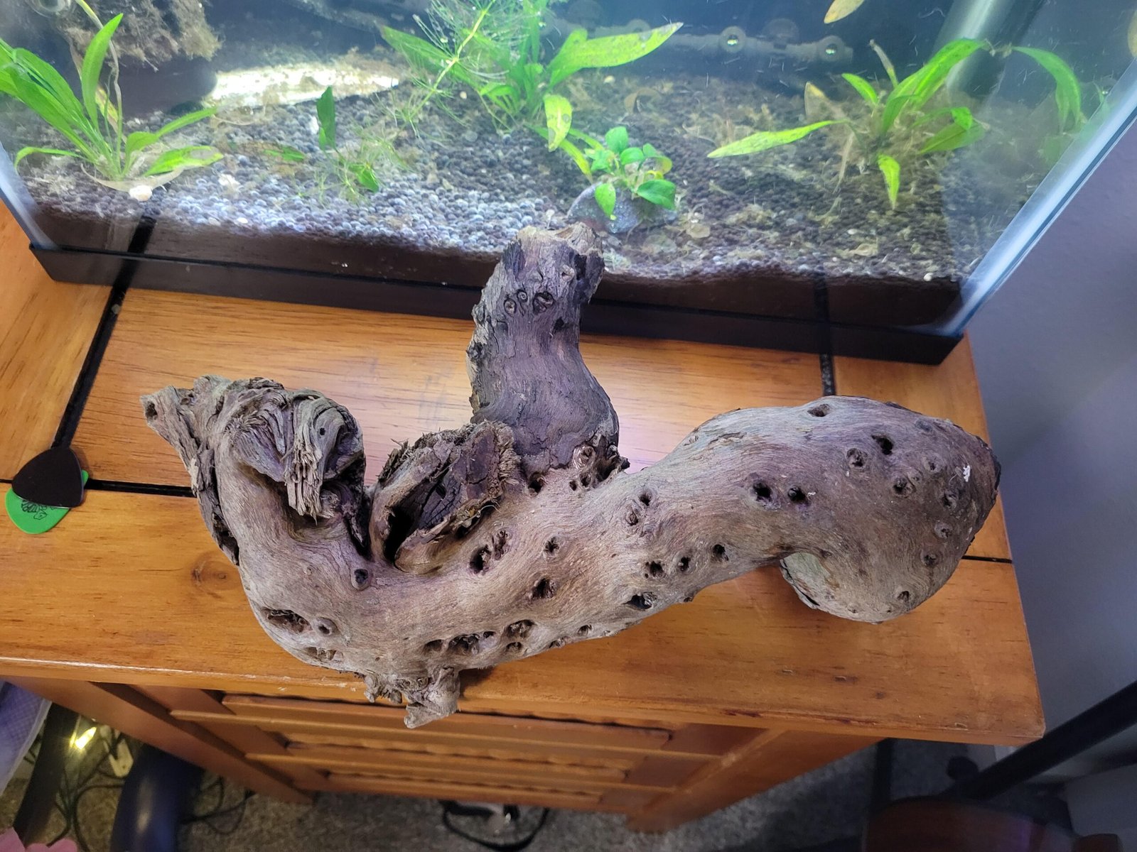 How to Make Aquarium Safe Wood: A DIY Guide