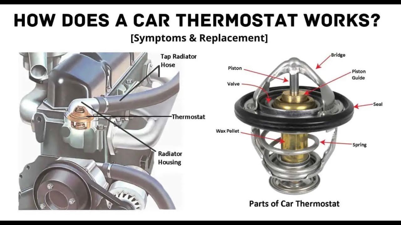 How Long Does Thermostat Last in Car: Lifespan & Maintenance Tips