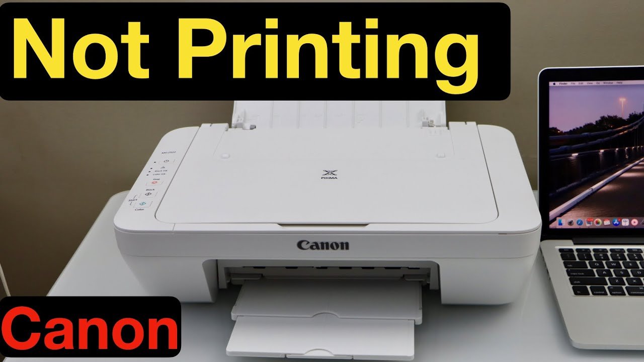 Canon Printer Not Printing