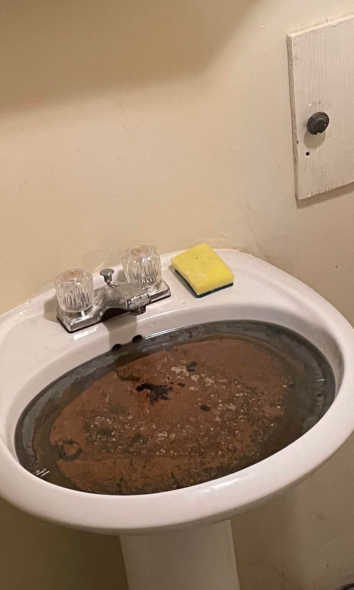 Can Poop Go down the Sink? Uncover the Truth